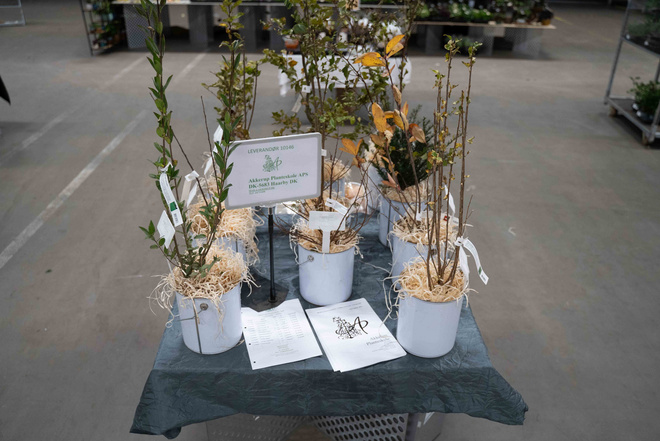 Flora Dania Trade Fair