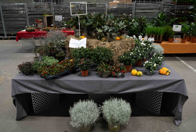 Flora Dania Trade Fair