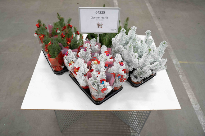 Flora Dania Trade Fair