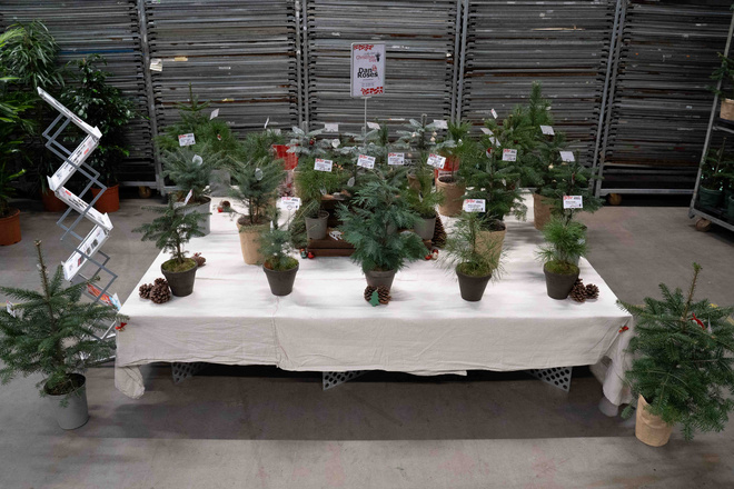 Flora Dania Trade Fair