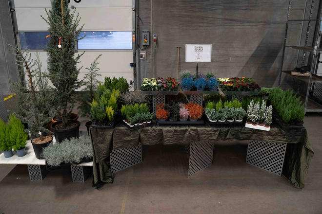 Flora Dania Trade Fair