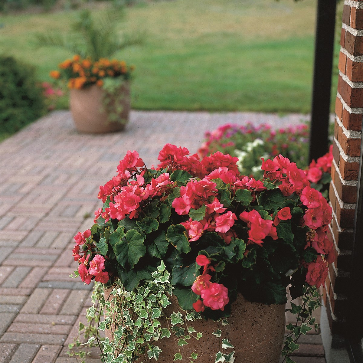 Planter