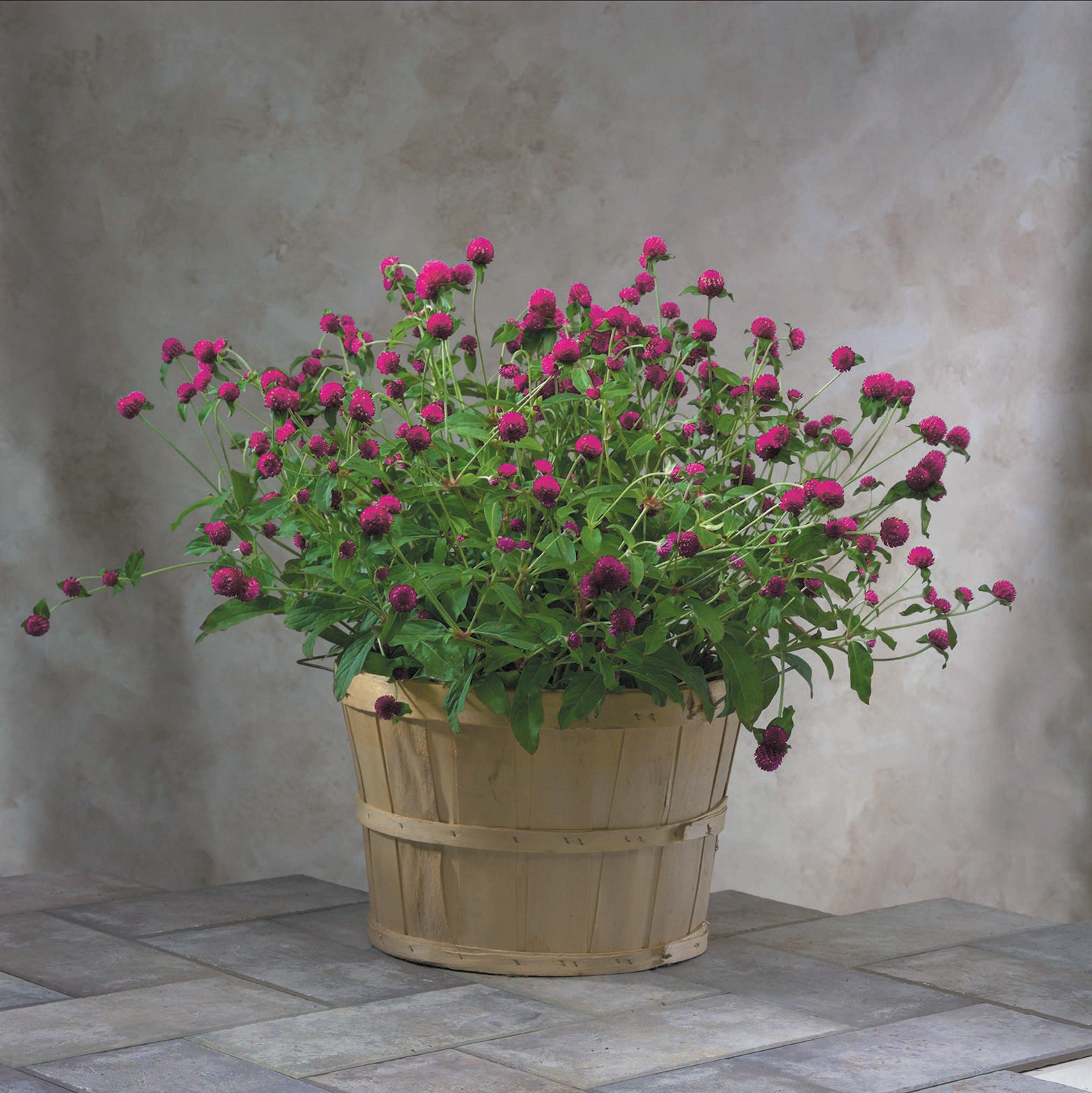 Planter